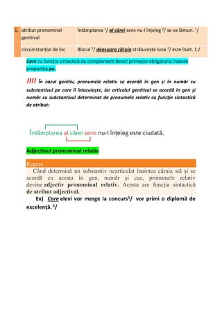 pronumelerelativ.docx