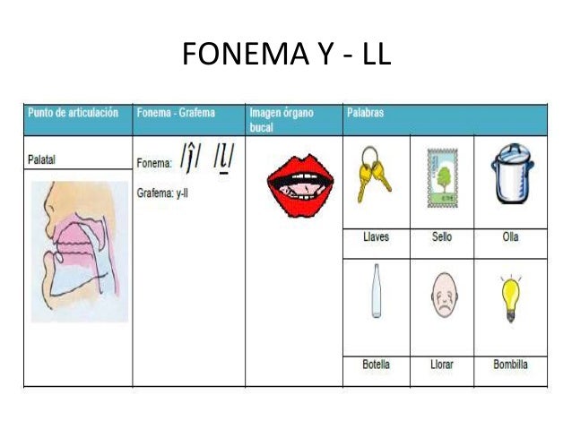 Qué Es Un Fonema Con Ejemplos | Fonemas (cuáles son, tipos y ejemplos ...