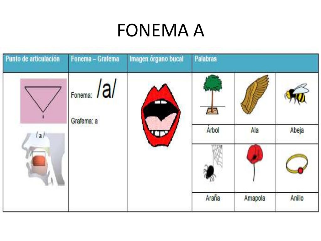 Pronunciación de fonemas 2