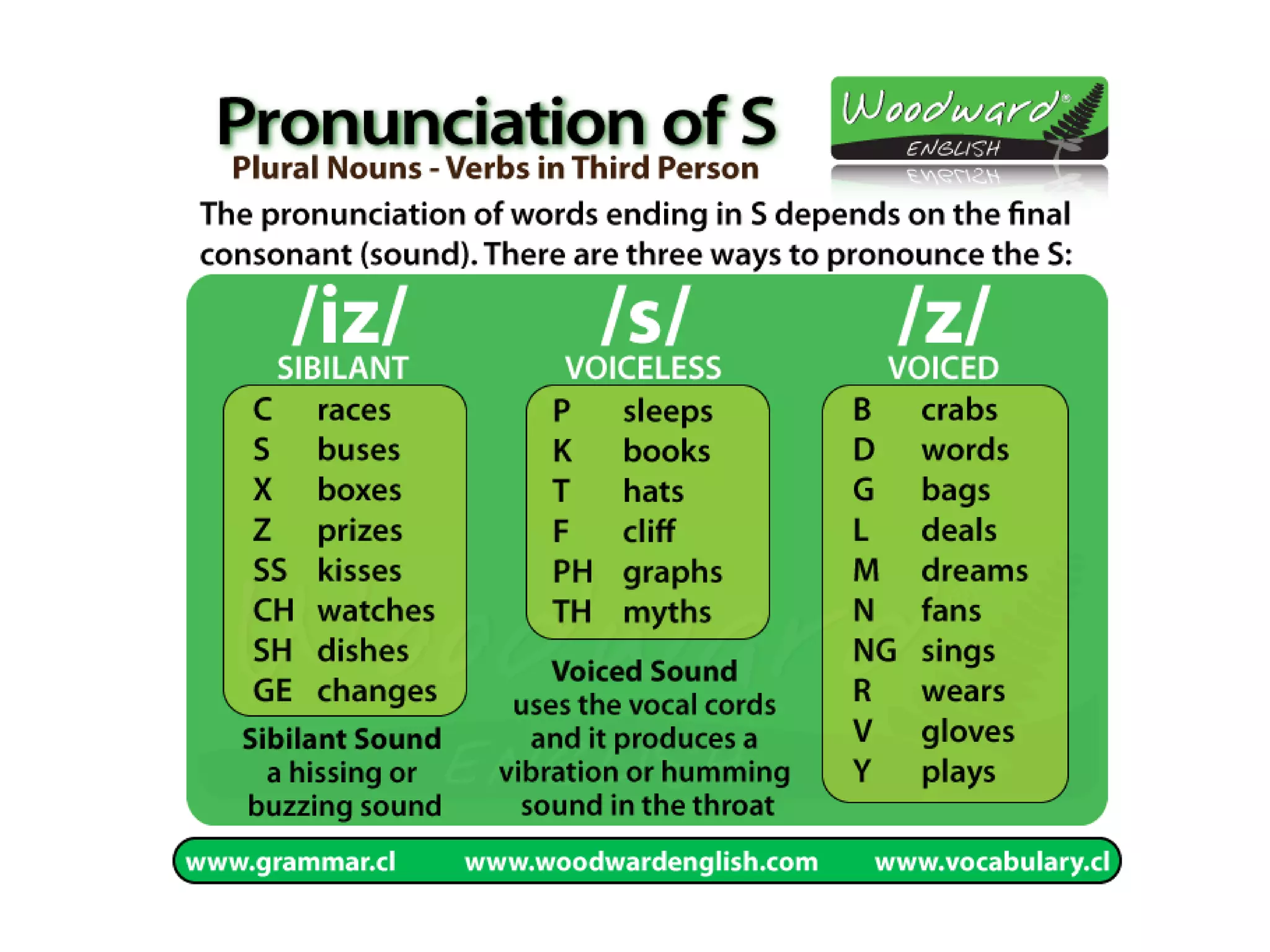Pronunciation of final -s and final -ed | PPT