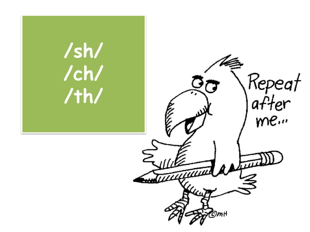 Pronunciation Sh / Ch / Th | PPTX