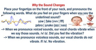 Pronunciation final ed sounds ppt | PPT