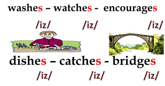 Pronunciation final s sounds ppt | PPT