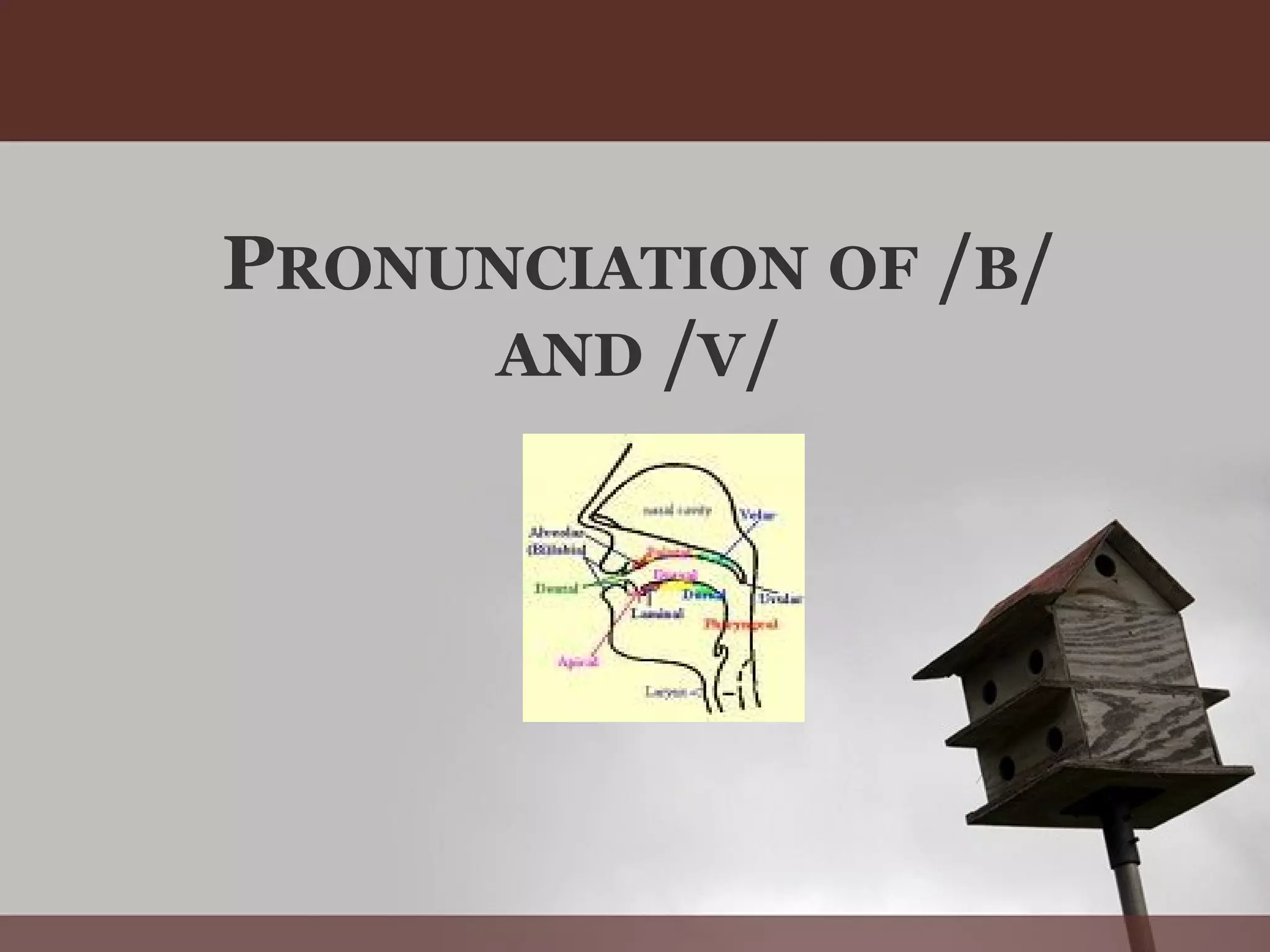 Pronunciation of b And v | PPT