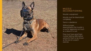 Proofing Building & Area Searches | PPTX