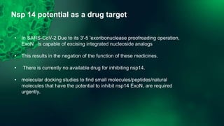 Coronavirus Proofreading mechanism | PPT