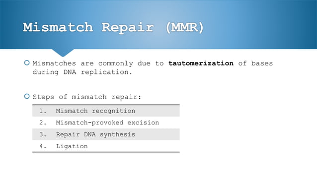 Proofreading Mechanisms & Mismatch Repair.pptx