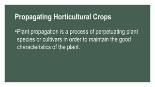PROPAGATING-HORTICULTURAL-CROPS-ppt-2-2.pptx