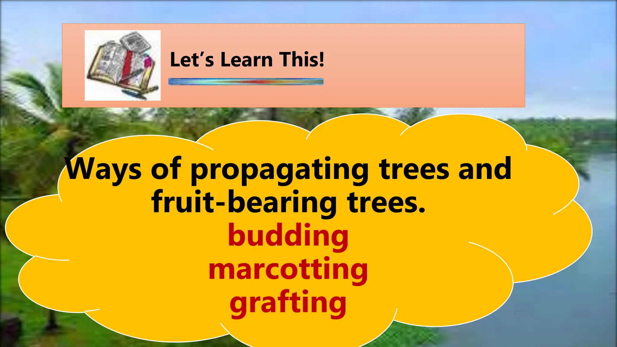 Grade 6 Agriculture Plant Propagation.pptx