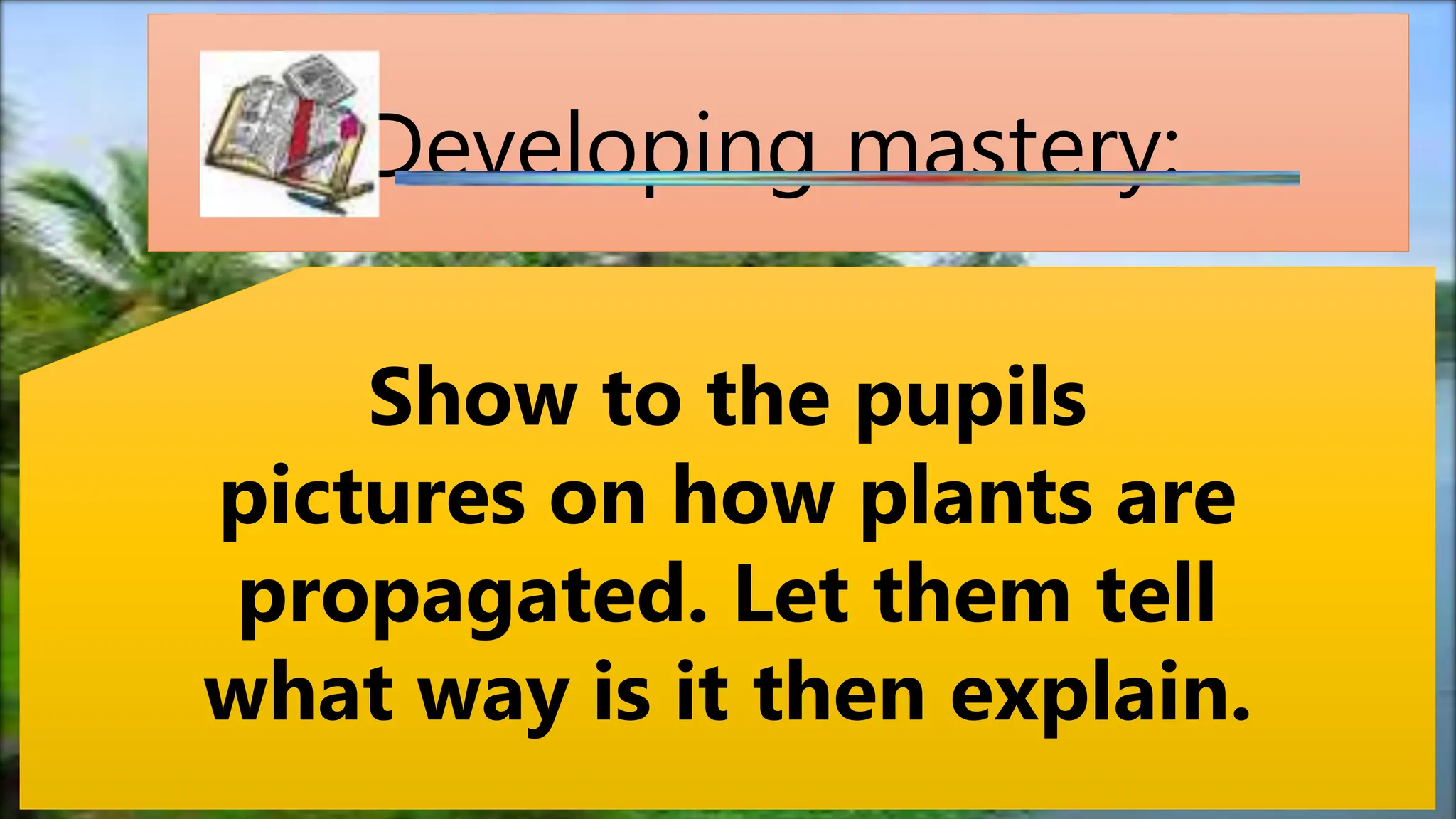 Grade 6 Agriculture Plant Propagation.pptx
