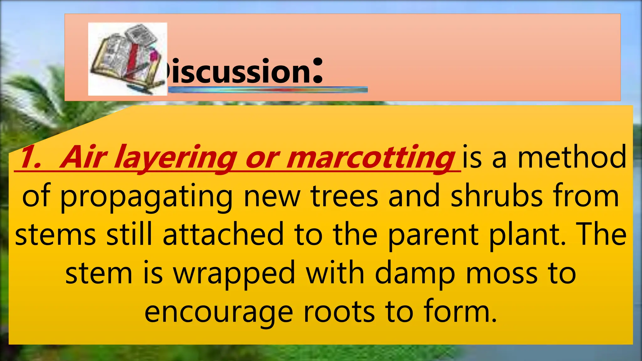 Grade 6 Agriculture Plant Propagation.pptx