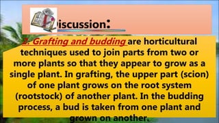 Grade 6 Agriculture Plant Propagation.pptx