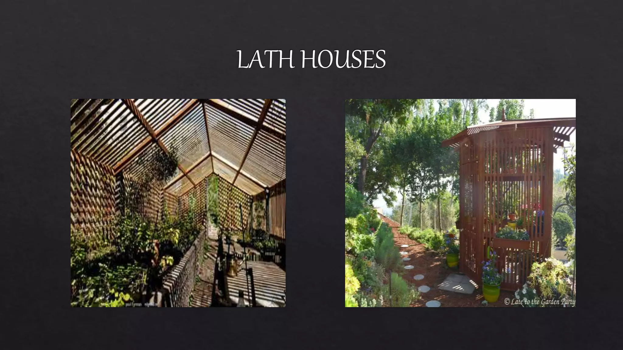 Propagating structures | PPTX