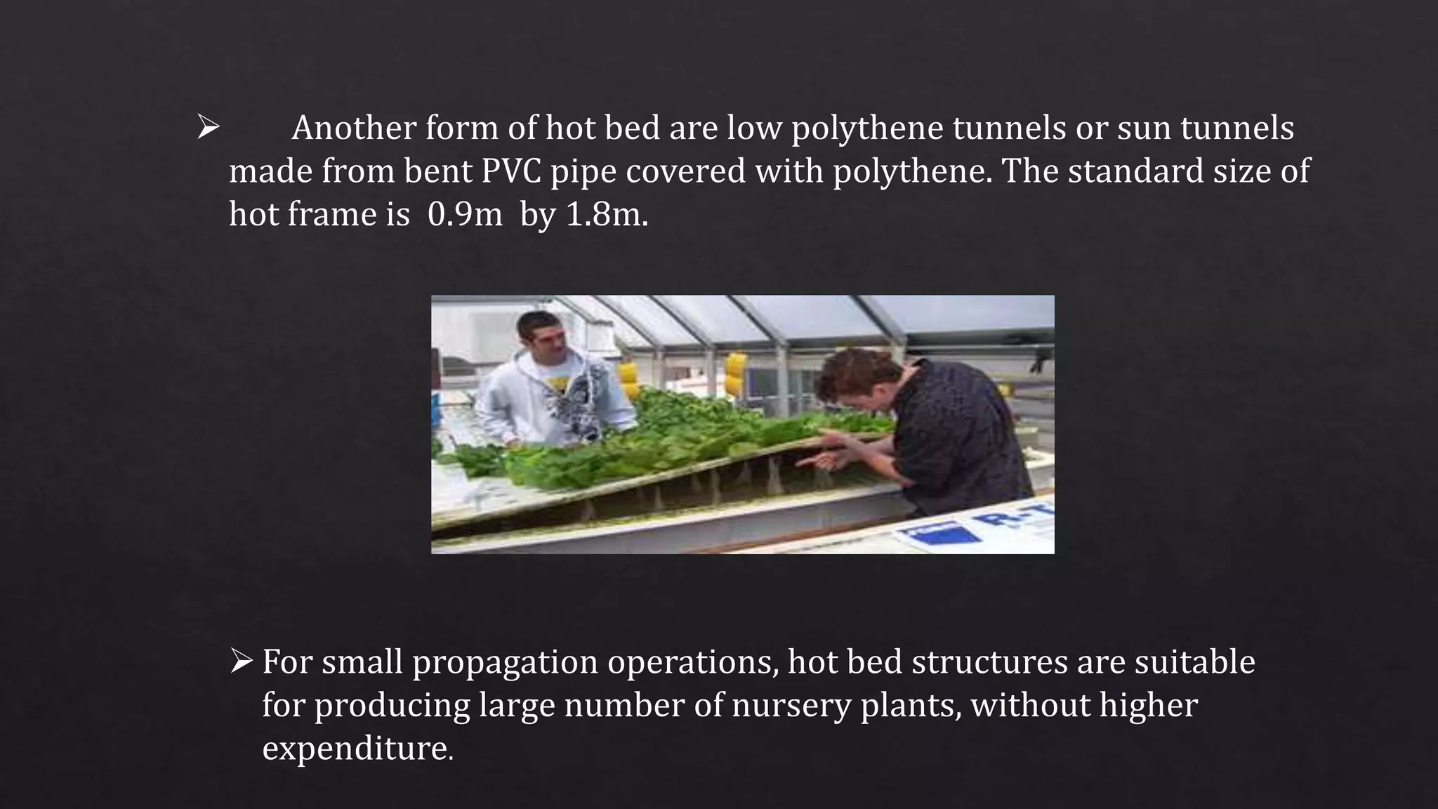 Propagating structures | PPTX