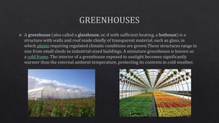 Propagating structures | PPTX