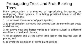 Propagating Trees and Fruit-Bearing Trees.pptx | Gardening | Home & Garden