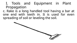 Propagating Trees and Fruit-Bearing Trees.pptx