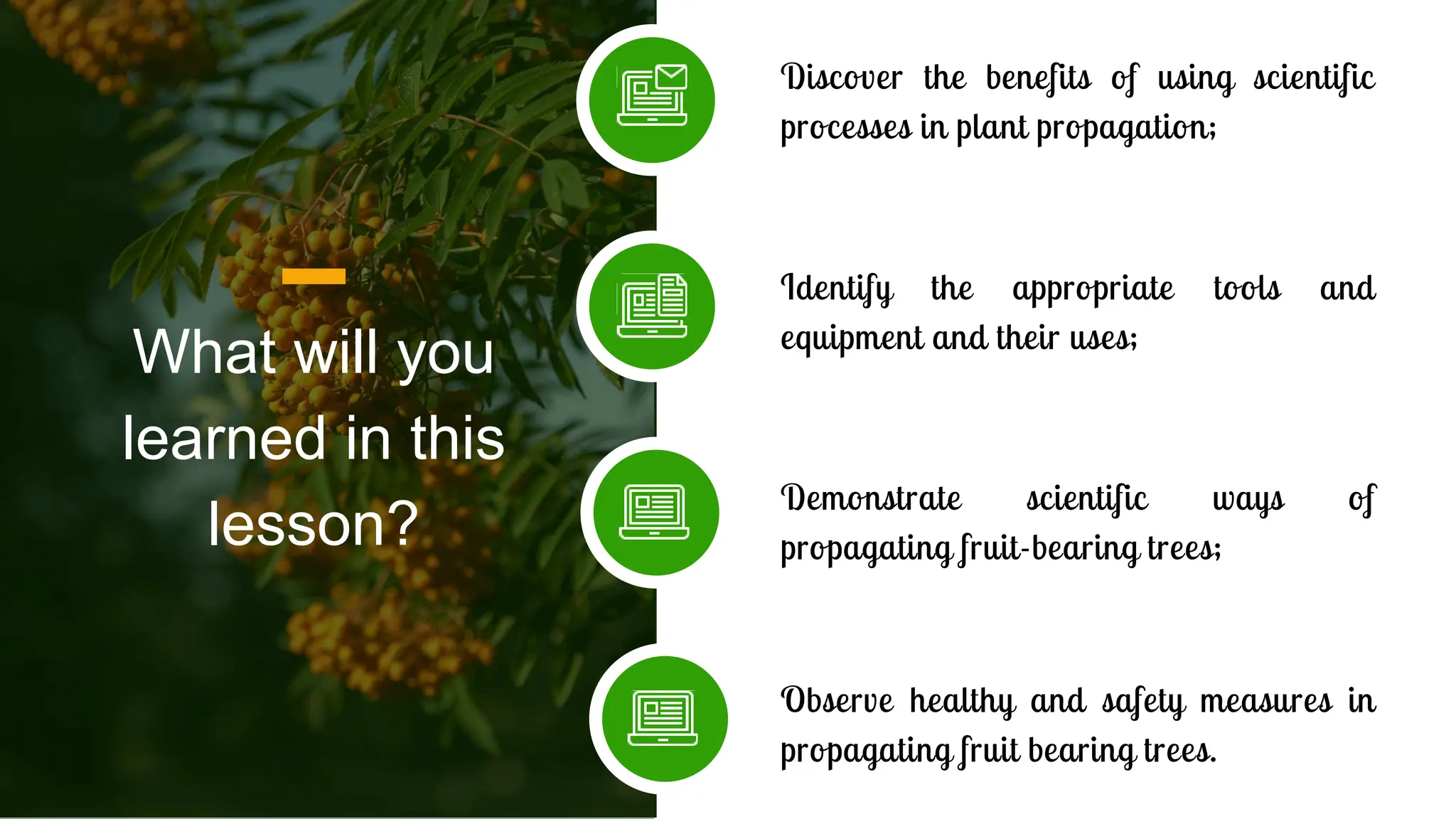 Propagating Trees & Fruit-Bearing Trees.pptx