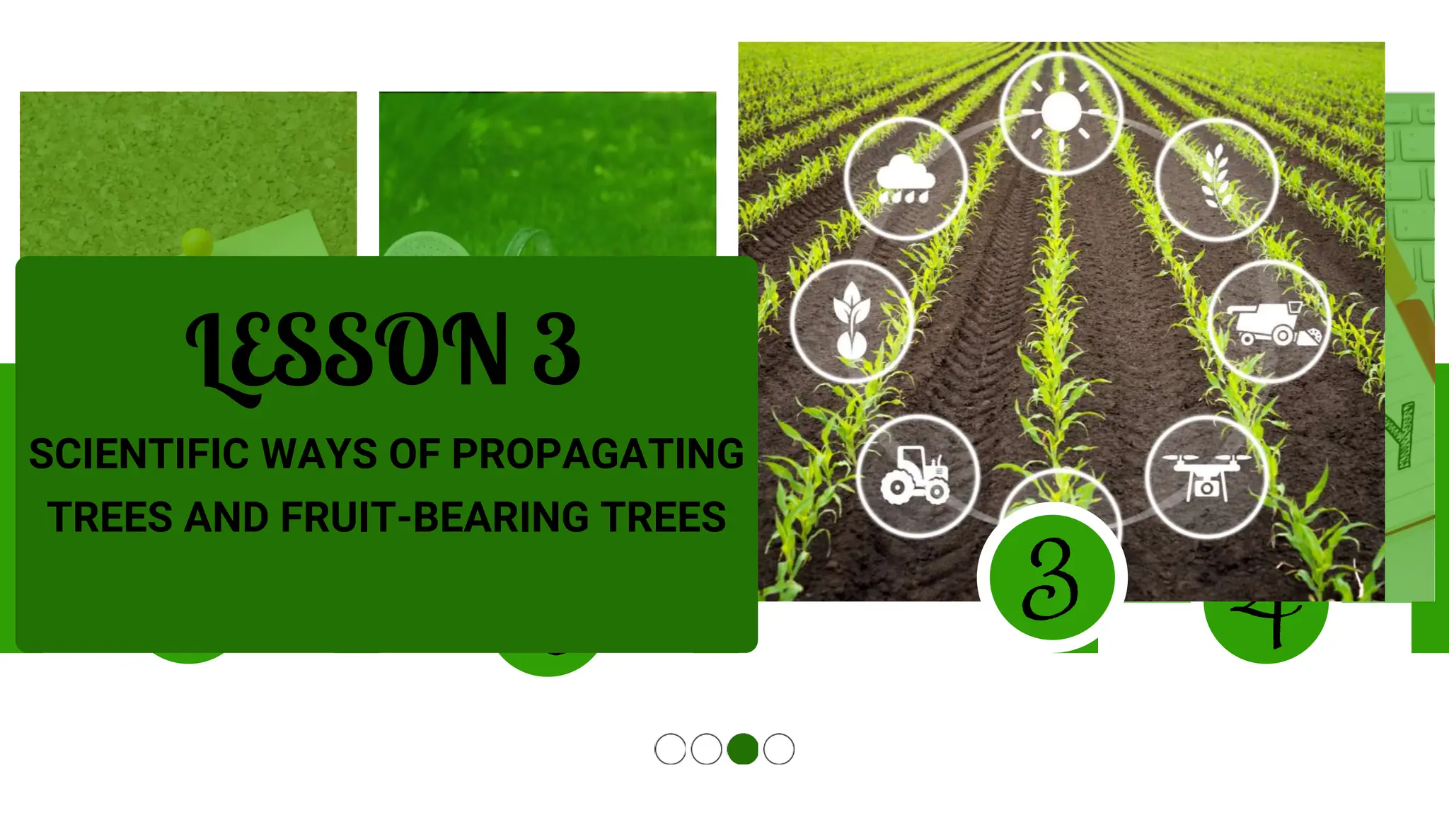 Propagating Trees & Fruit-Bearing Trees.pptx