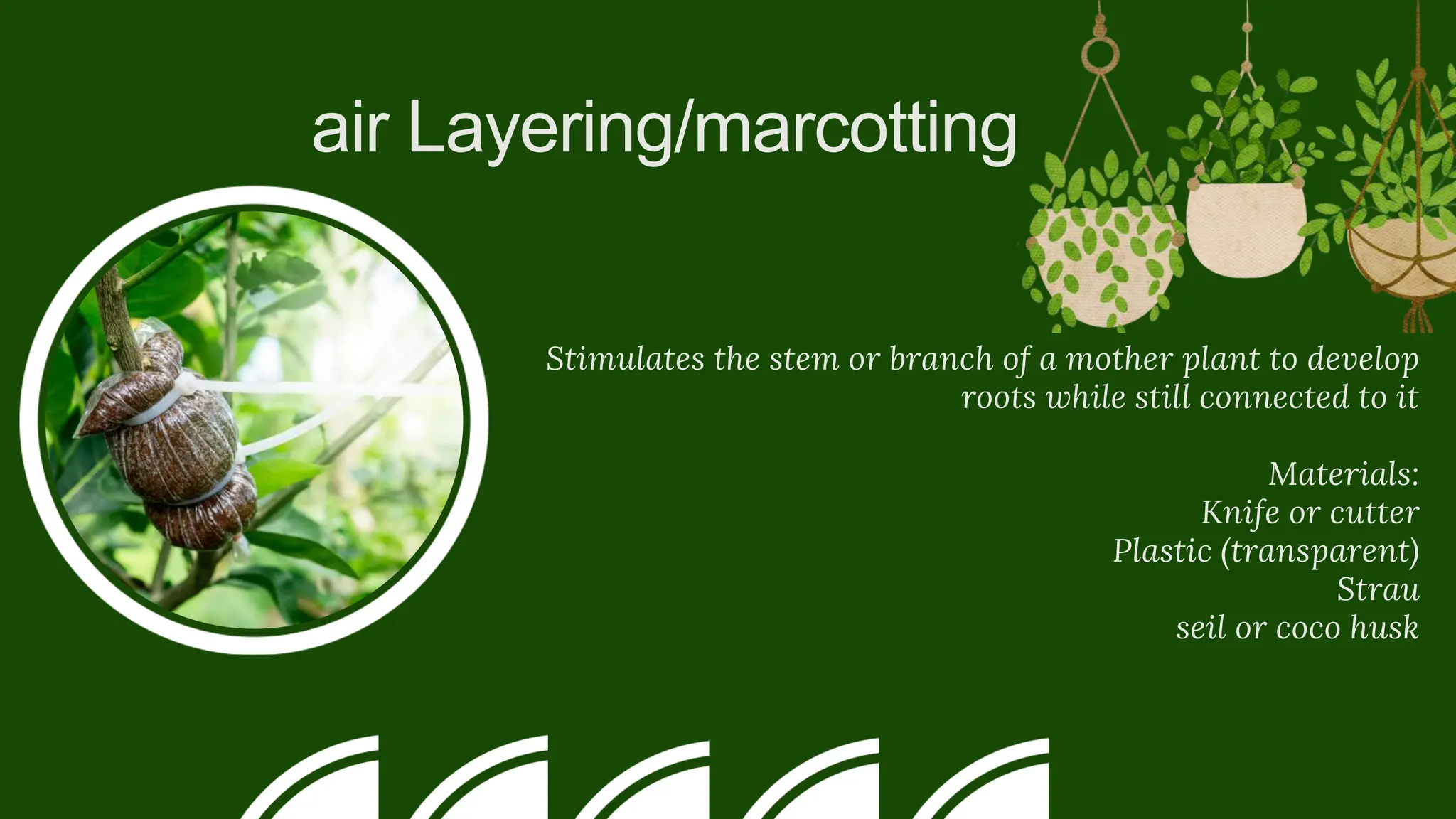 Propagating Trees & Fruit-Bearing Trees.pptx