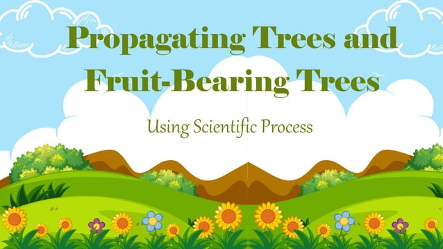 Propagating Trees & Fruit-Bearing Trees.pptx