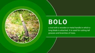 Propagating Trees & Fruit-Bearing Trees.pptx