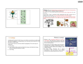 propagation-1_compressed.quick guide .pdf
