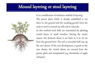 Propagation - Asexual - Cutting and Layering.pdf