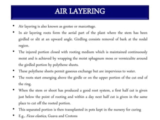Propagation - Asexual - Cutting and Layering.pdf