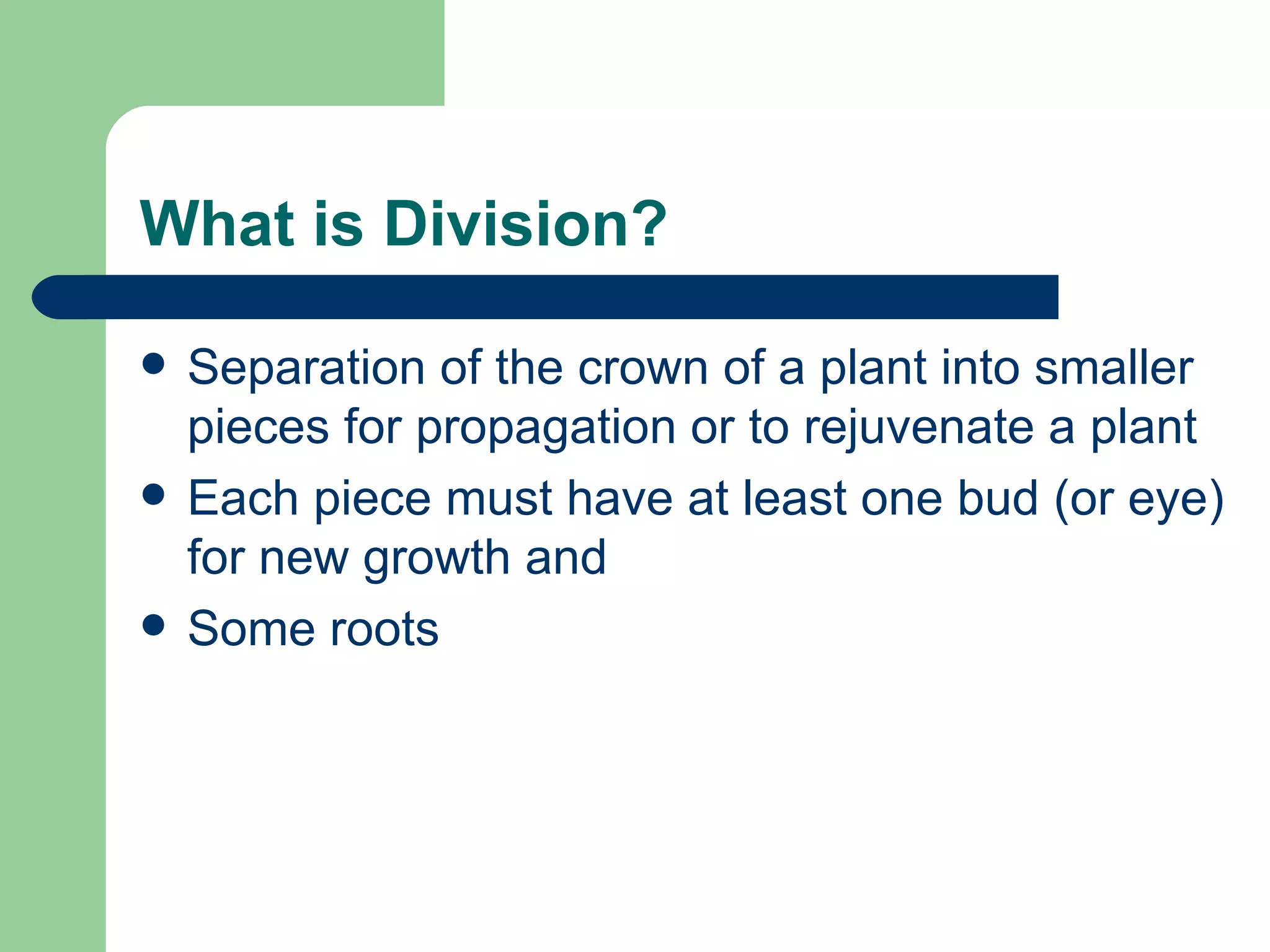 Propagation by Division | PPT