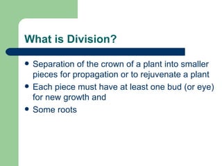 Propagation by Division | PPT