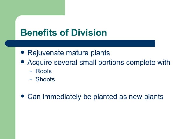 Propagation by Division | PPT | Gardening | Home & Garden