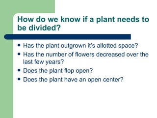Propagation by Division | PPT