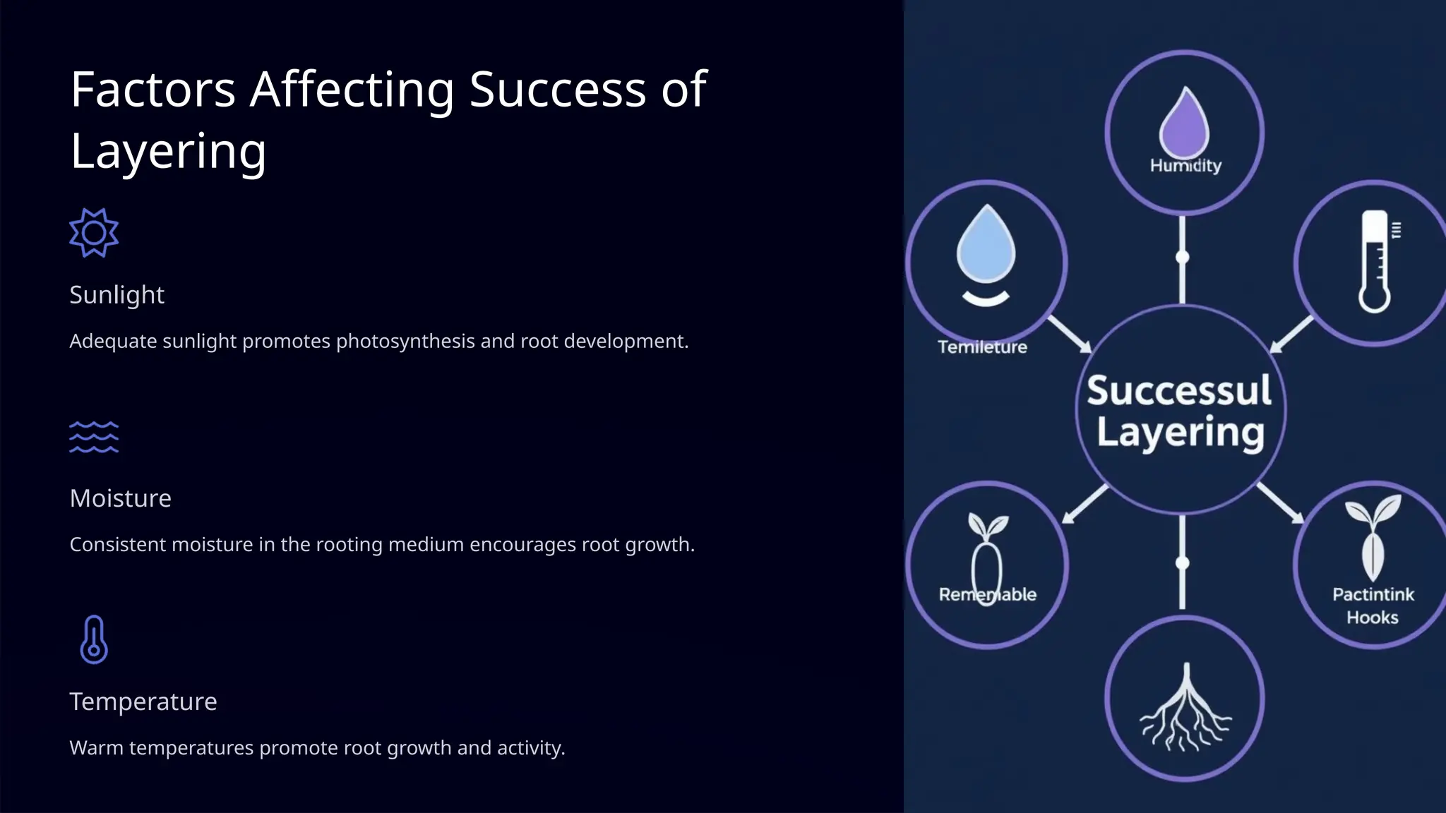 Propagation-of-Layering-in-Plants.pptx... | PPT