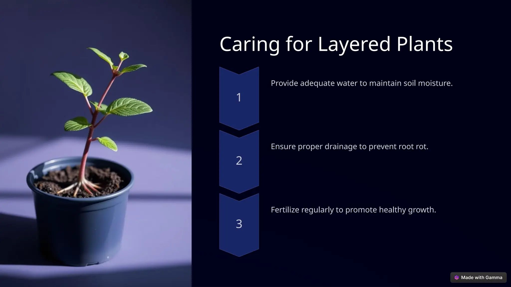 Propagation-of-Layering-in-Plants.pptx... | PPT