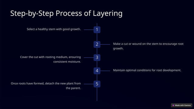 Propagation-of-Layering-in-Plants.pptx... | PPT