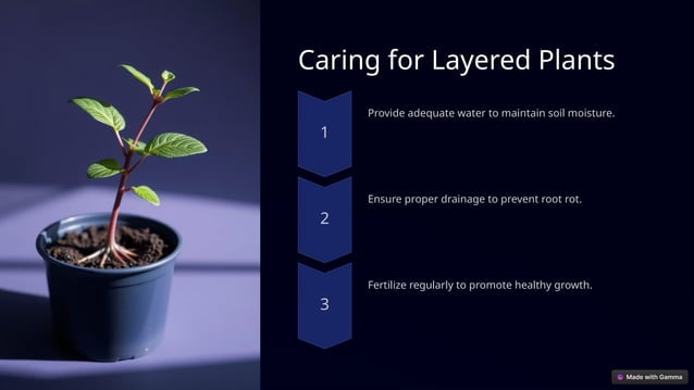 Propagation-of-Layering-in-Plants.pptx... | PPT