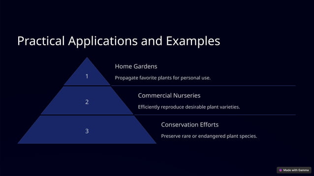 Propagation-of-Layering-in-Plants.pptx... | PPT