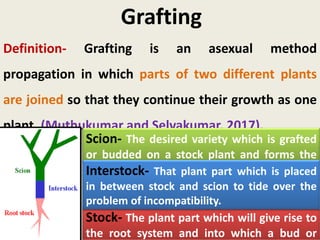 Propagation-technique-of-Layring-Grafting-1.pdf