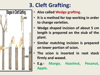 Propagation-technique-of-Layring-Grafting-1.pdf