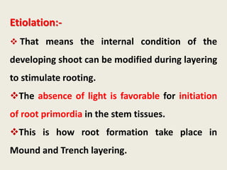Propagation-technique-of-Layring-Grafting-1.pdf