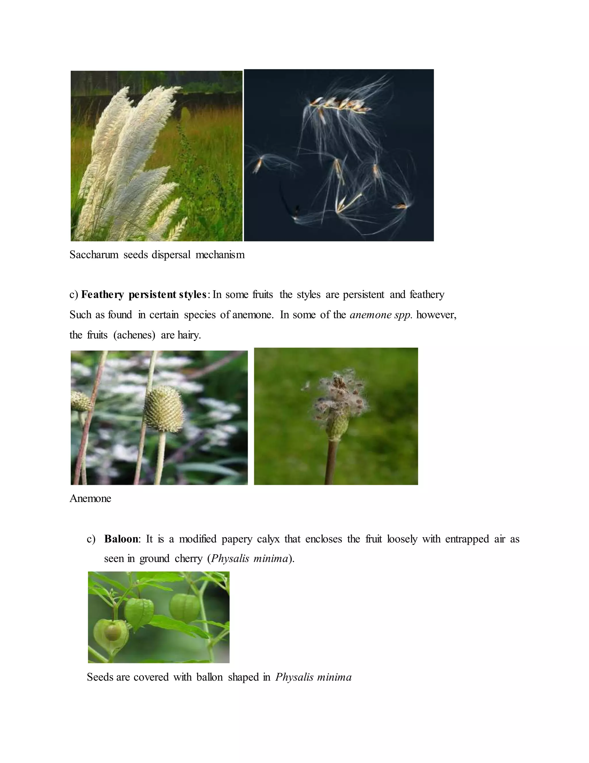 Propagation and Dissemination of weeds | DOCX