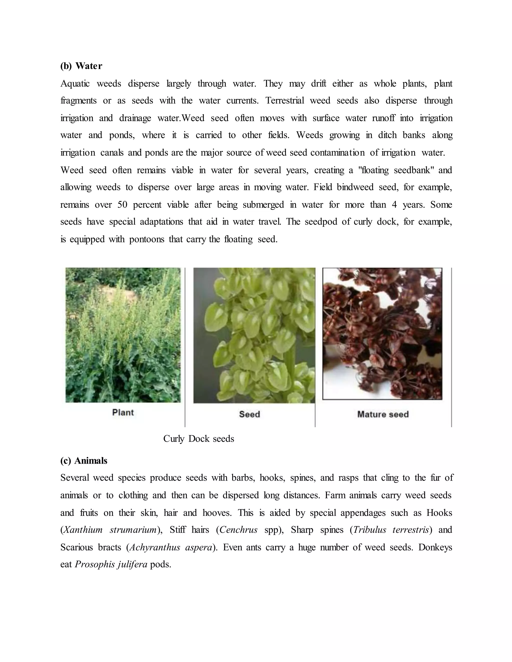 Propagation and Dissemination of weeds | DOCX