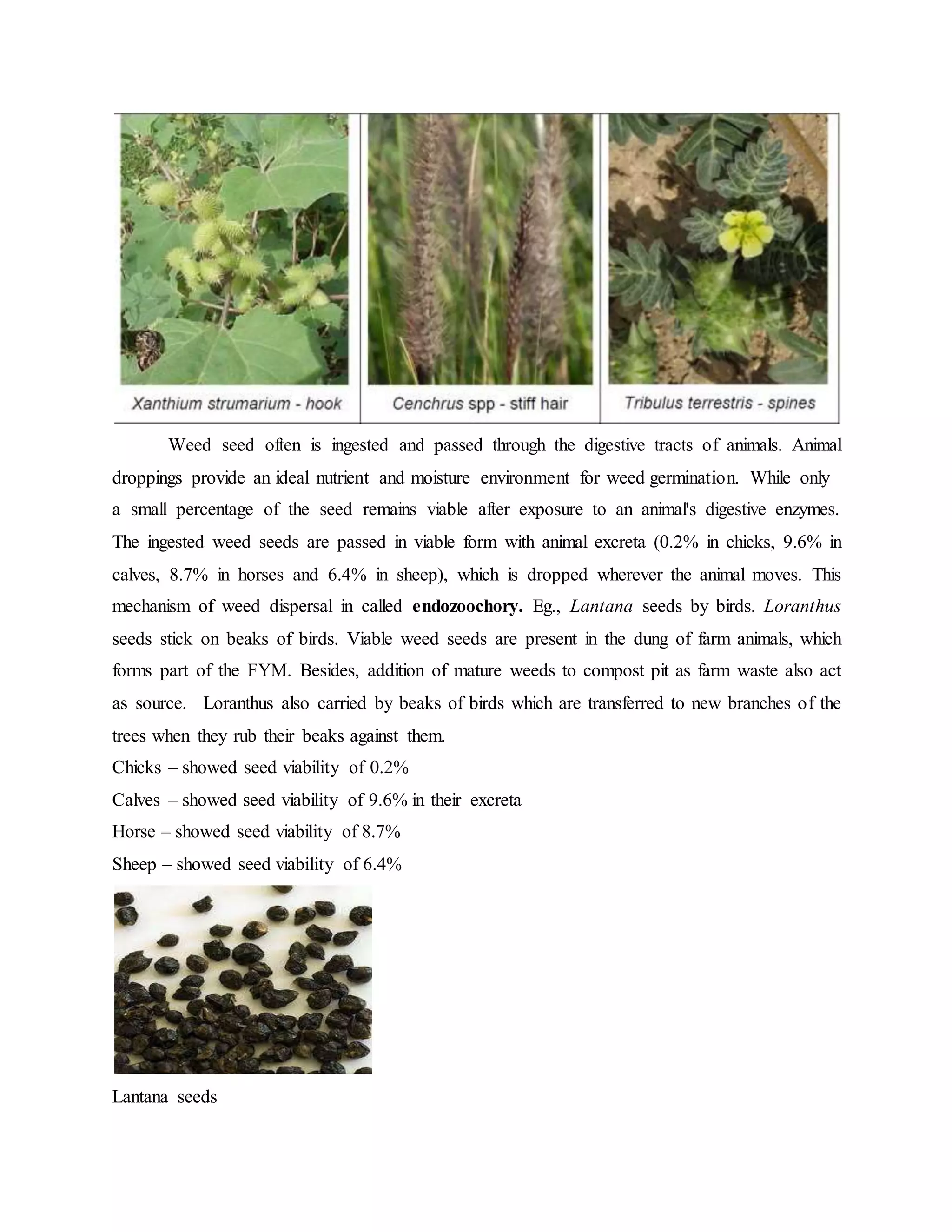 Propagation and Dissemination of weeds | DOCX