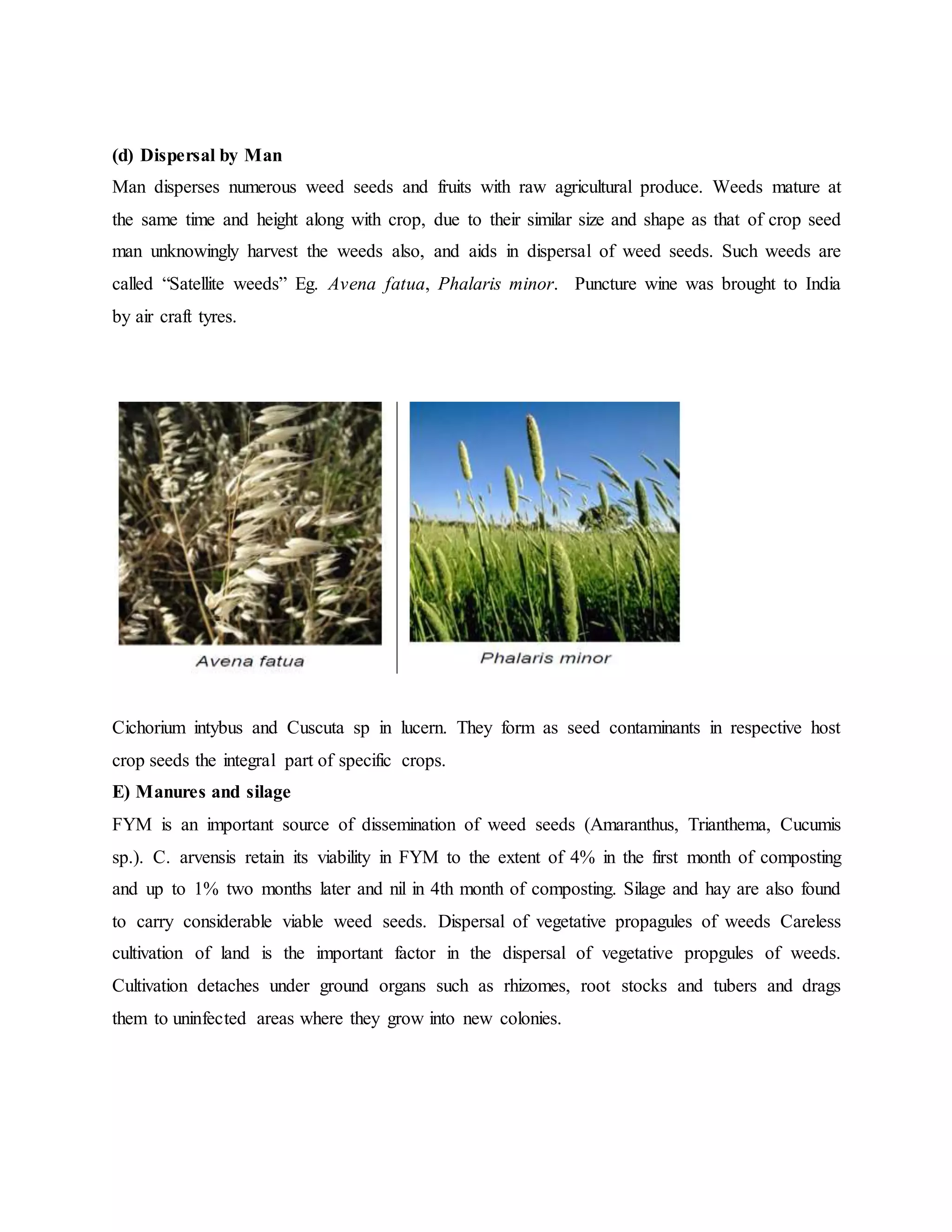Propagation and Dissemination of weeds | DOCX