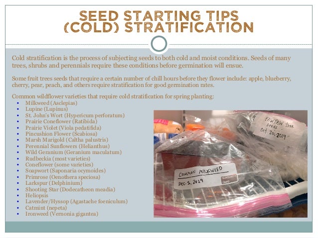 Propagation I: Starting Crops from Seeds | PDF