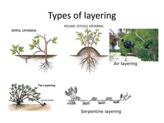 PROPAGATION_METHODS.pptx