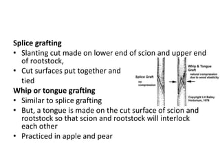 PROPAGATION_METHODS.pptx