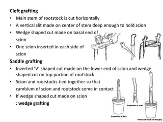 PROPAGATION_METHODS.pptx