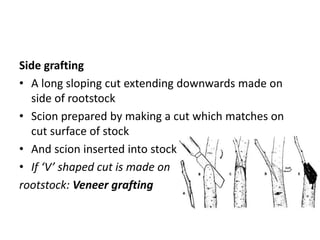 PROPAGATION_METHODS.pptx